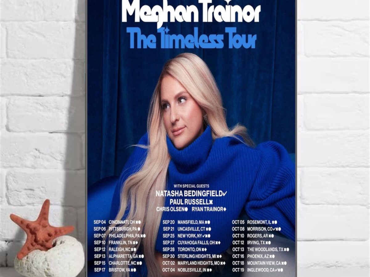 Meghan Trainor Art